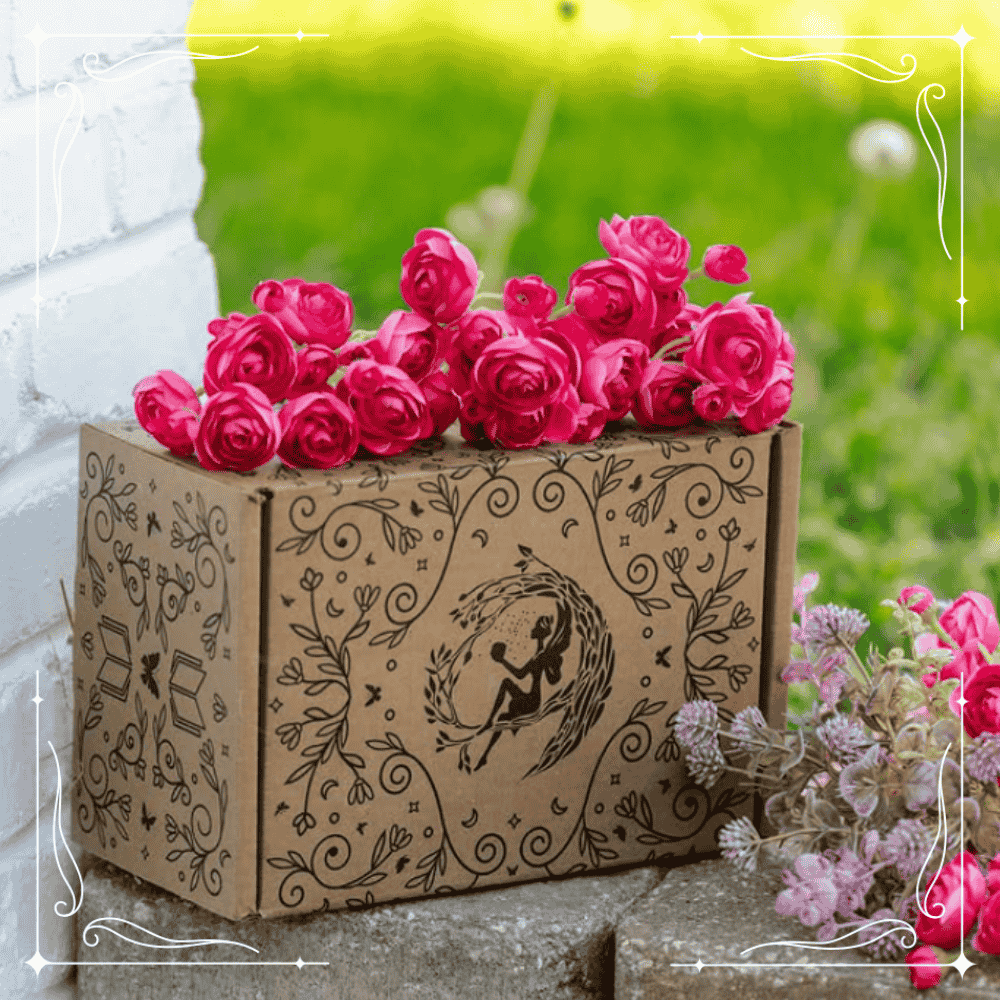 Important Updates & Shipping Information – News & Community